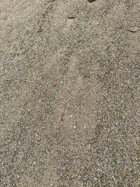Bulk Concrete Sand | West Hartford, CT | Elmwood Bark & Stone